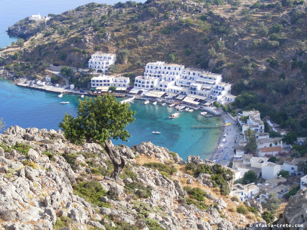 Photo galleries of Sfakia, Crete 035